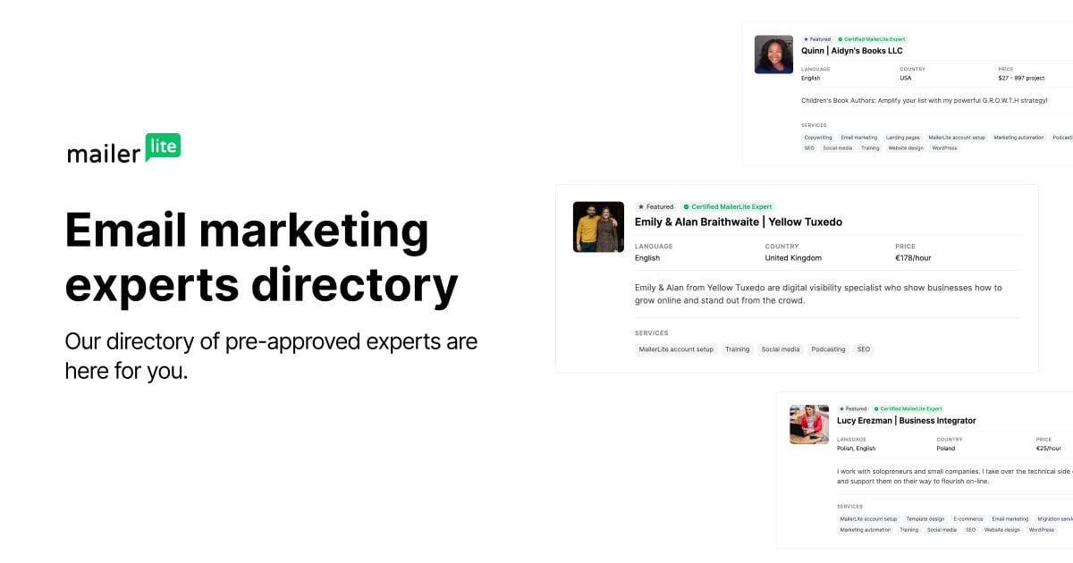 Email marketing experts - MailerLite
