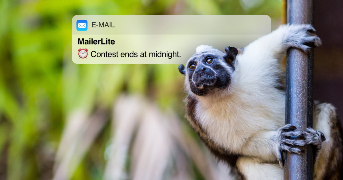 5 Great Ways How to Enhance Urgency in Emails - MailerLite
