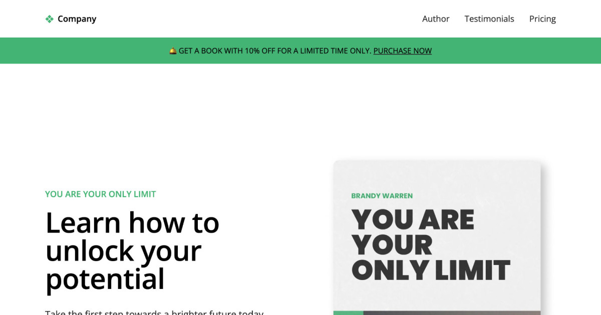 Book promotion Landing Page Template - MailerLite