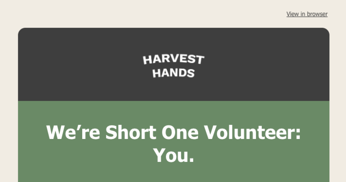 Volunteer Recruitment Email Template